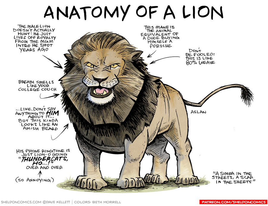 Anatomy of a Lion - Sheldon® Comic Strip