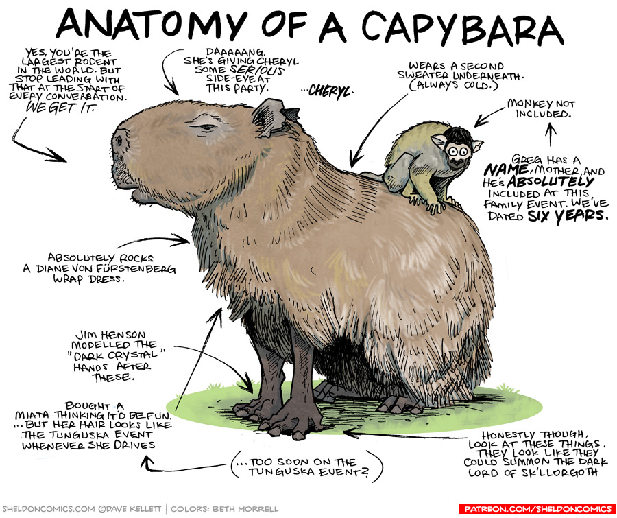 Anatomy of a Capybara - Sheldon® Comic Strip
