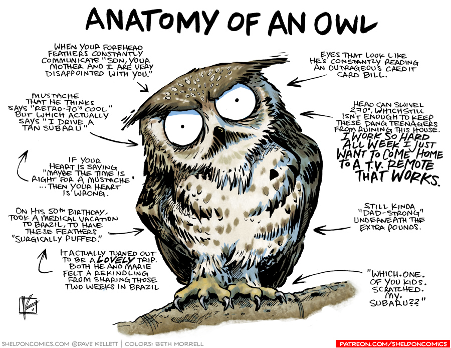Anatomy of an Owl - Sheldon® Comic Strip