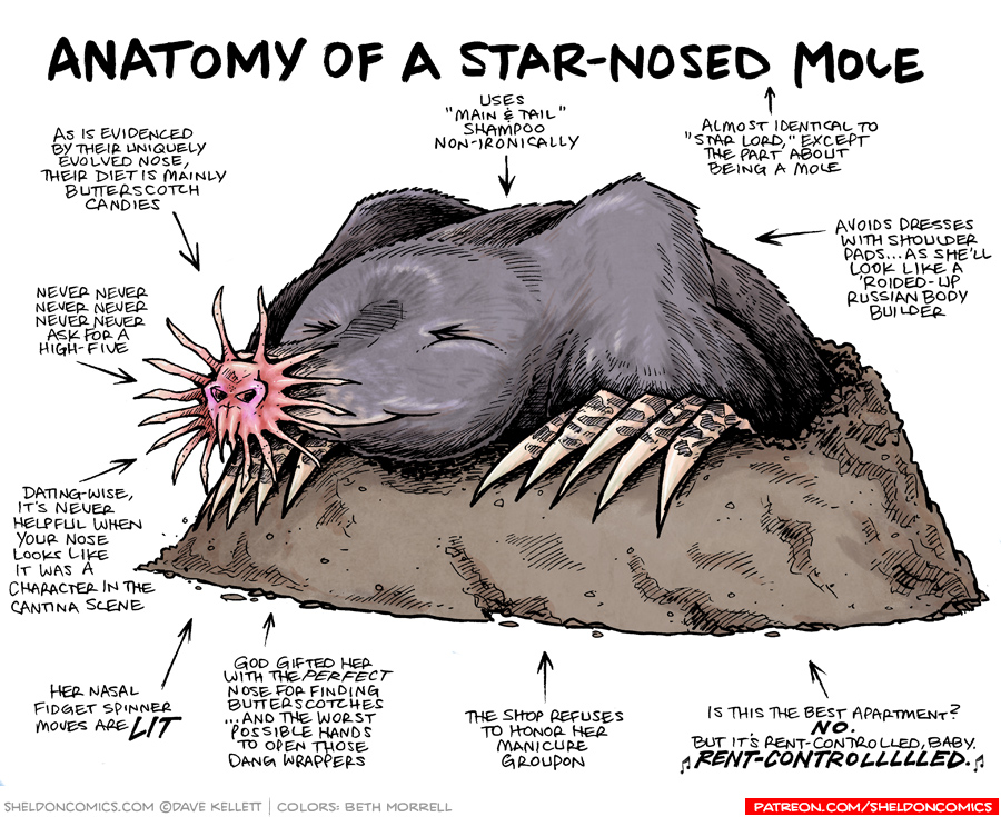Anatomy of a Star-Nosed Mole - Sheldon® Comic Strip