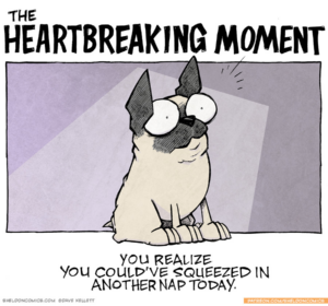 Insurance - Sheldon® Comic Strip